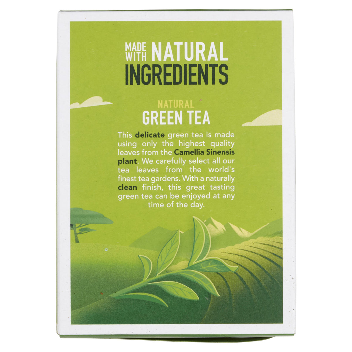 NATURAL GREEN TEA 40 TEABAGS – Barry's Tea