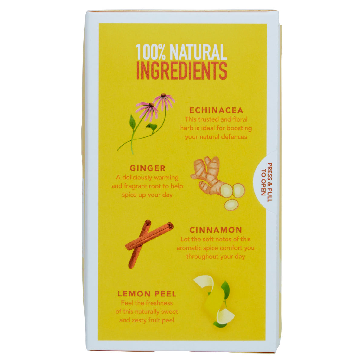 PROTECT 20 TEABAGS – Barry's Tea